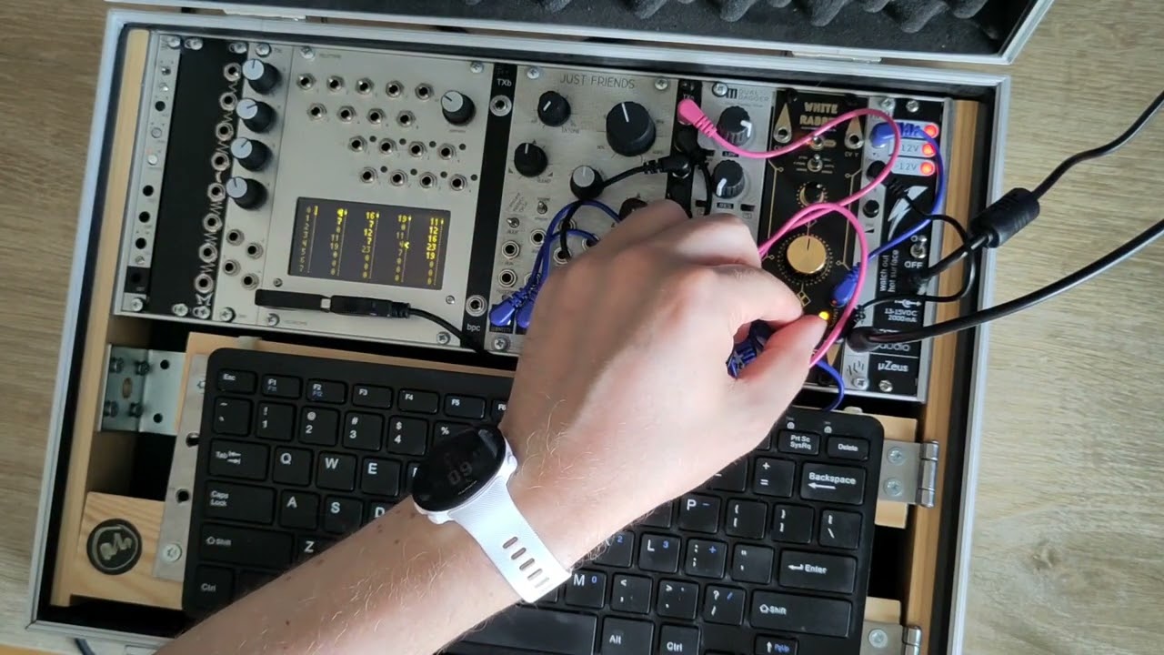 turtle in a rabbit hole | teletype + just friends + white rabbit