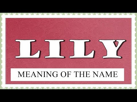 NAME LILY- FUN FACTS AND MEANING OF THE NAME