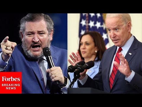 JUST IN: Senate Republicans Hammer Biden, Harris Over Border: 'They Don't Care!'