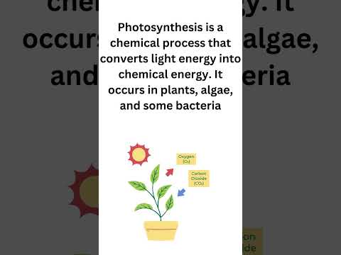 Photosynthesis #photosynthesis #plants #sunlight #energy #chlorophyll #carbonDioxide #oxygen #water
