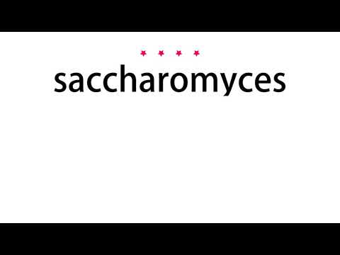 How to pronounce saccharomyces - Vocab Today