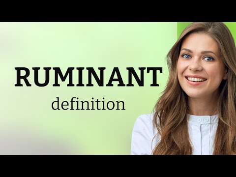 Ruminant | RUMINANT meaning