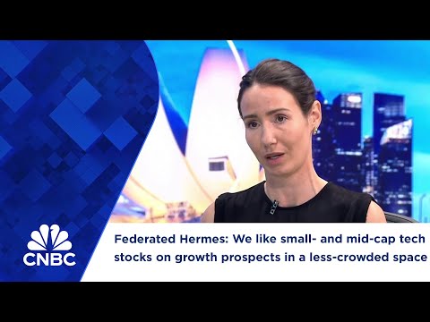 Federated Hermes: We like small- and mid-cap tech stocks on growth prospects in a less-crowded space