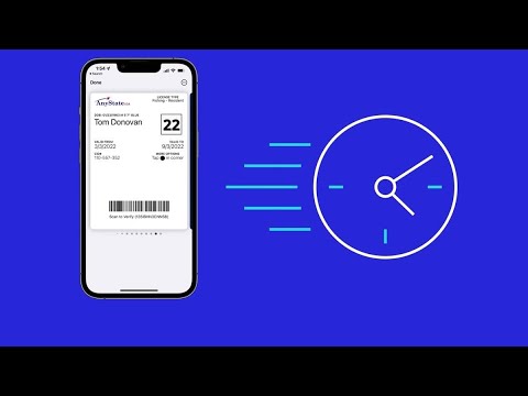 ACI Digital Wallet Capabilities for Government