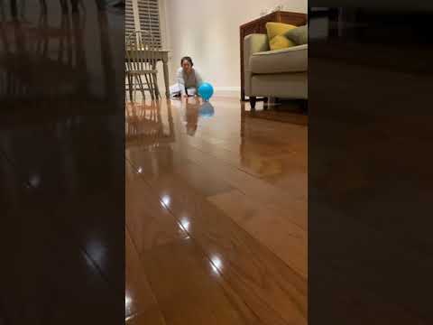 Alison Lee’s Balloon Car Lab with the Farthest Displacement of 4.6m