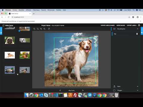 How to build custom computer vision datasets for classification and object detection