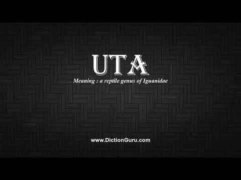 How to Pronounce uta with Meaning, Phonetic, Synonyms and Sentence Examples