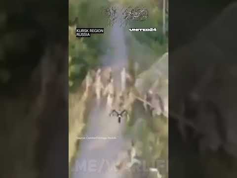Kursk region. The Ukrainian FPV drone left no chance for a group of Russian infantry #warinukraine
