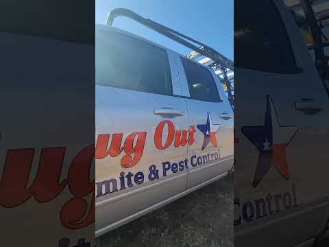 How To Eliminate Termites. #termites #pestcontrol #diy #construction