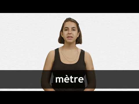 English Translation of “MÈTRE” | Collins French-English Dictionary