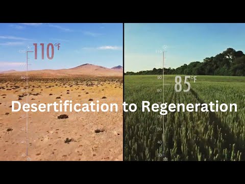 What Causes #Desertification, and How Can We Restore Land? (from ‘Kiss the Ground’ documentary)