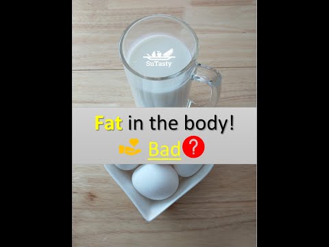 Fats in our body! Bad?