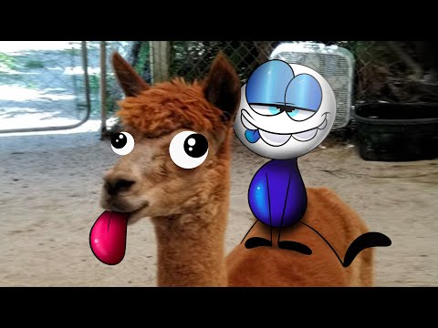 Articulation L: Pencilmate Llama Lan…: English ESL video lessons