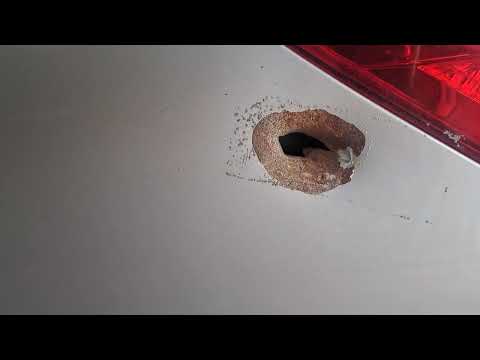 bullet holes in customers car