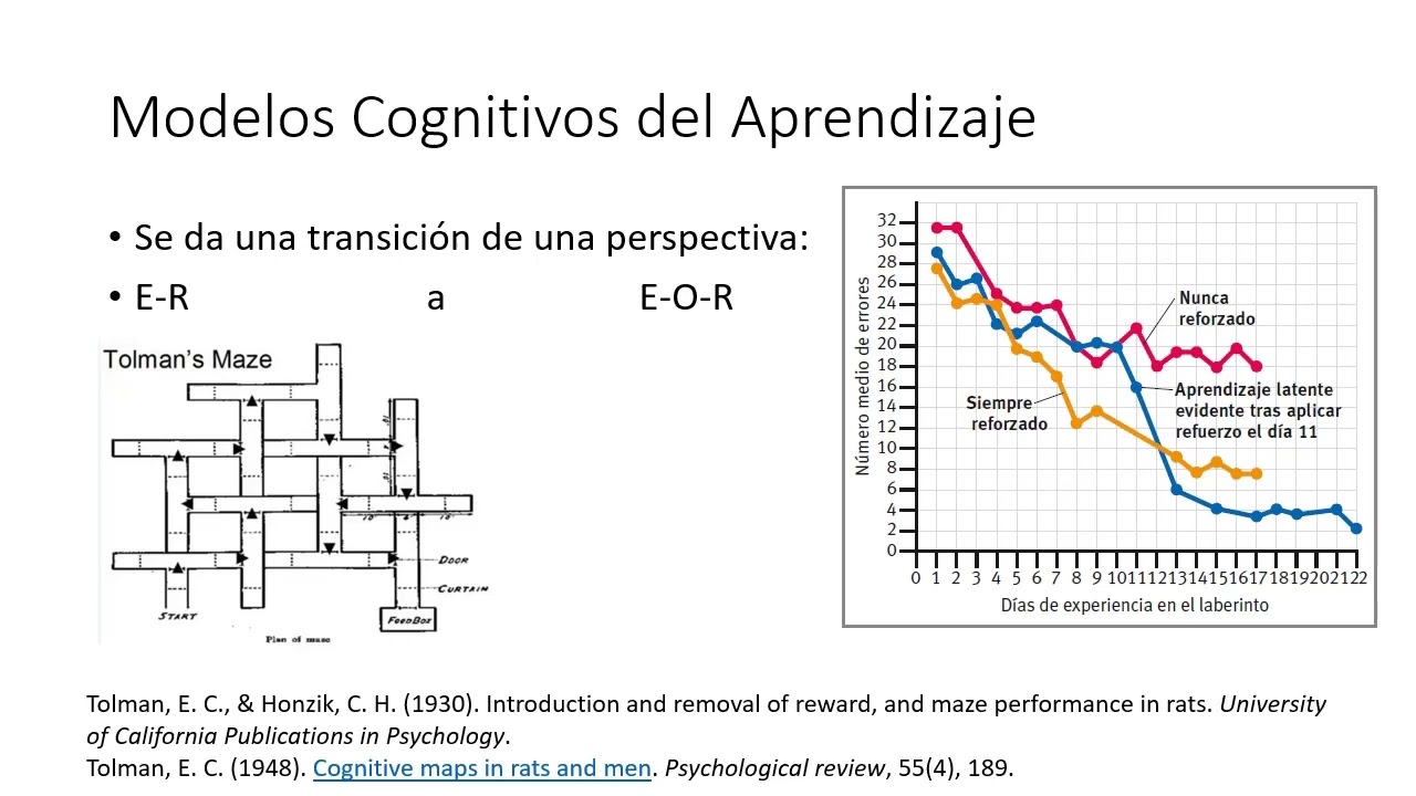 Modelos Cognitivos del Aprendizaje