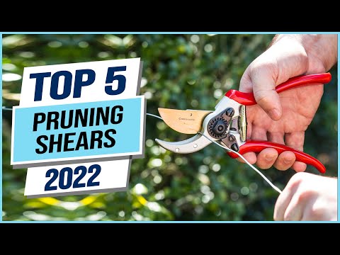 Top 5 Best Pruning Shears 2023