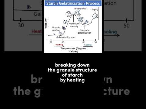 What is Starch Gelatinization | Food Processing Technology #starch #foodscience #food_processing