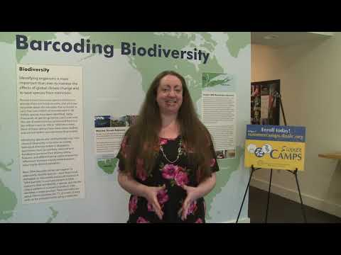 Virtual DNA Barcoding Summer Camp