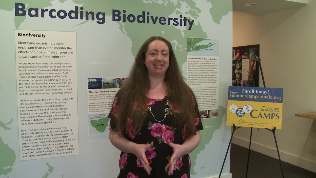 Virtual DNA Barcoding Summer Camp