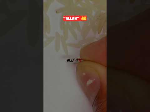 Wrote “Allah❤️” on a Grain of Rice – A Tiny Tribute with a Big Faith 🌾✨ #allah #allahuakbar #viral