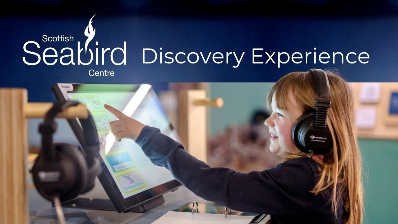 Scottish Seabird Centre Discovery Experience