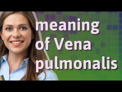 Vena pulmonalis | meaning of Vena pulmonalis