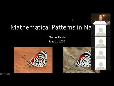 Mathematical Patterns in Nature
