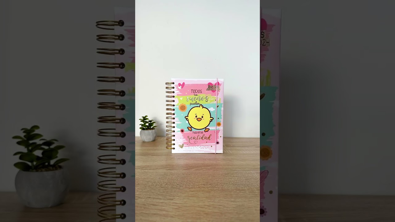 Agendas Borlitas 2024