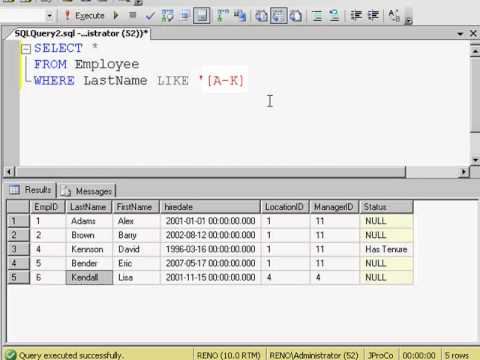SQL 2008 SQL Query Using Criteria with the WHERE clause