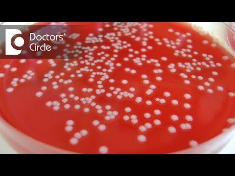 Is no growth of microorganism after 24hrs of aerobic incubation possible? - Dr. Sanjay Gupta