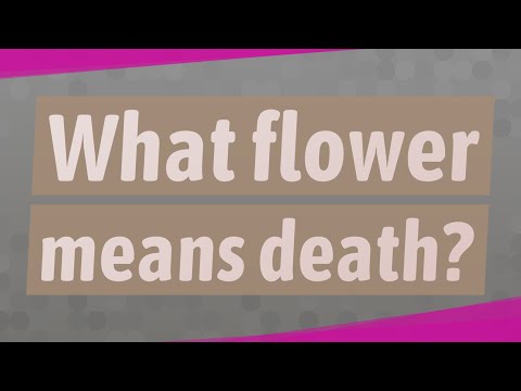 What flower means death?