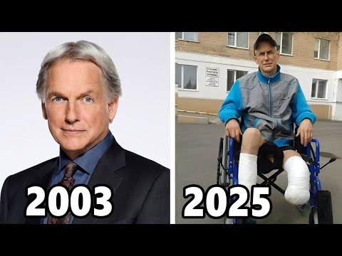 NCIS (TV Series 2003) After 22 Years, What Happened to The Cast Now 2025!