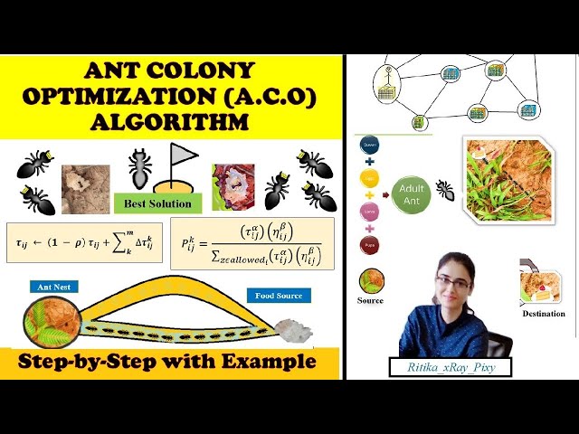 Understanding Ant Colony Optimization Algorithm: A Step-by-Step Guide ...