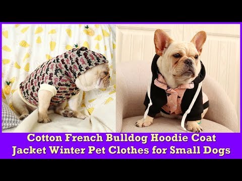 Cotton French Bulldog Hoodie Coat Jacket Winter Pet Clothes for Small Dogs Pug Puppy Clothing
