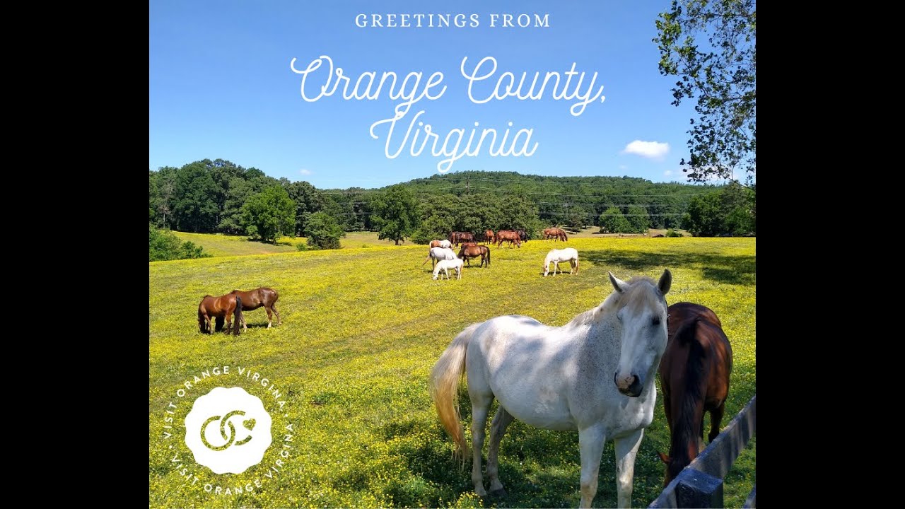 2021 VISIT ORANGE COUNTY VA