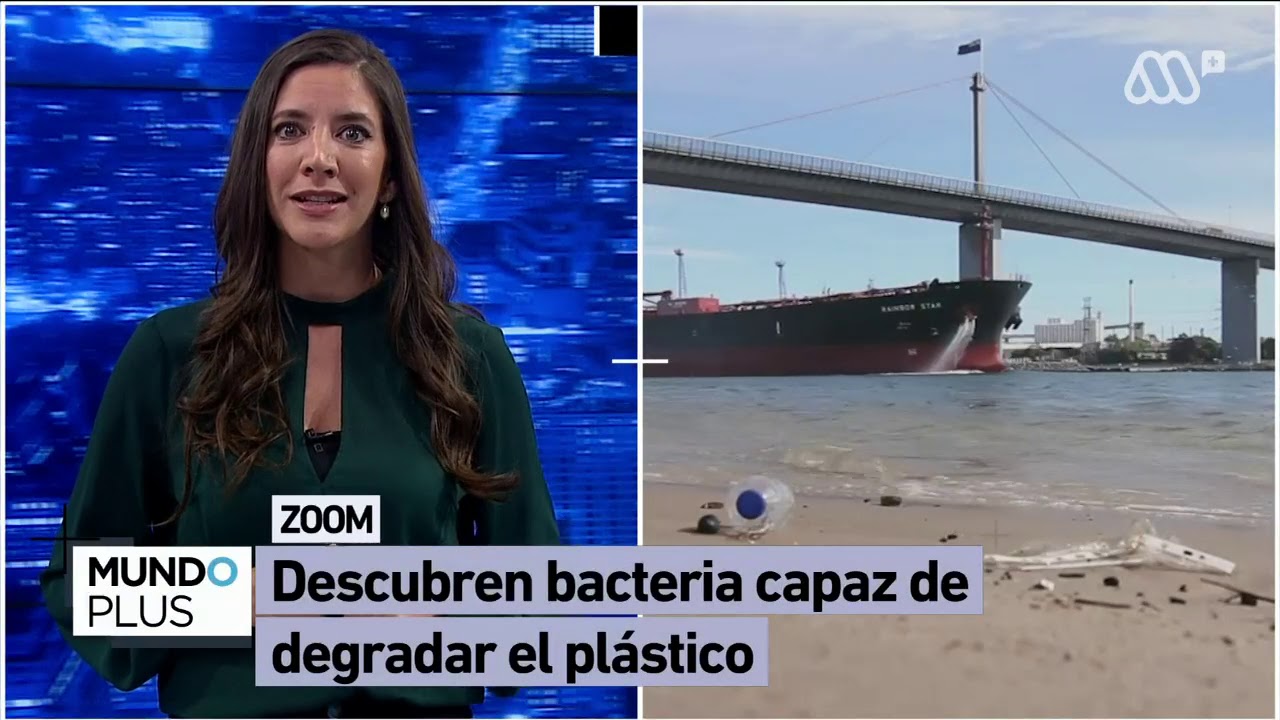Descubren bacteria capaz de comer plástico