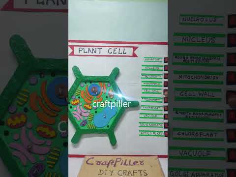 plant cell working model with lights - #shorts | craftpiller