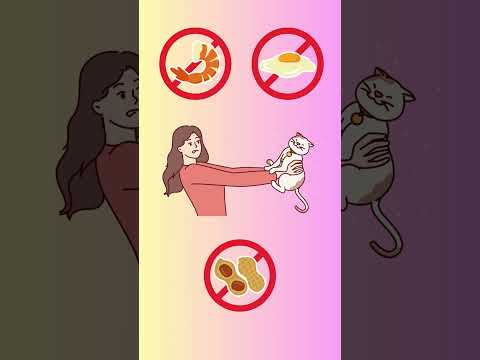 Anaphylactic Hypersensitivity