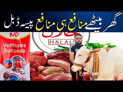 Meat Export Business in Pakistan | High ROI Investment Opportunity with MAG Ventures