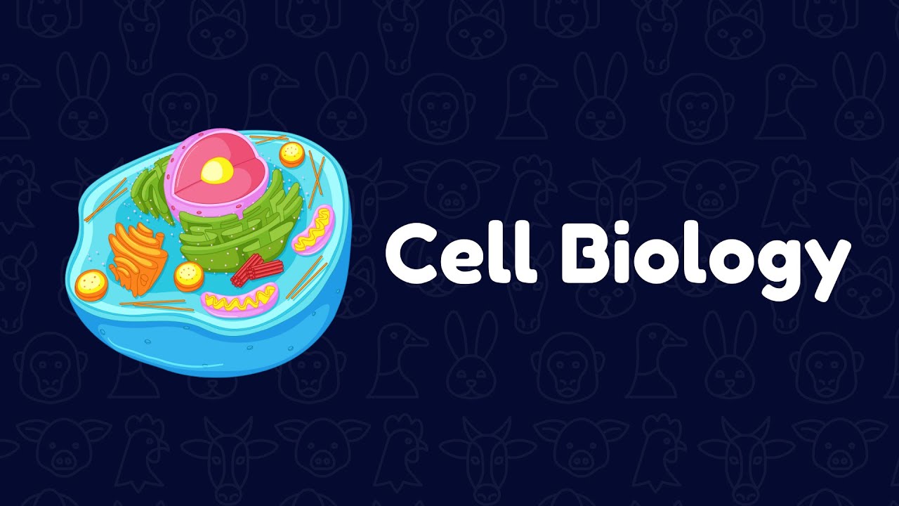 Unlocking the Secrets of Life: PowerPoint Presentation on Cell Biology (Voice)