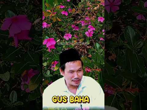 Pentingnya Birrul Walidain (Berbakti Kepada Orang Tua) #ngaji #gusbaha #ngajigusbaha