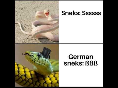 Snakes vs. German Snakes Meme | #shorts #memes