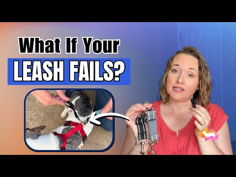 Dog Backup Clip: Don’t Walk Without This “Plan B” Safety Hack!