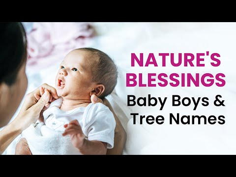 Baby Boys Rooted in Nature: Tree-Inspired Names