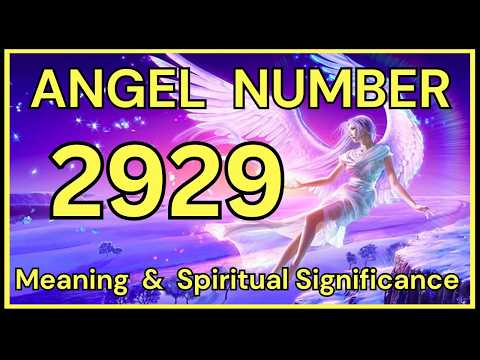 2929 Angel Number: Meaning and Spiritual Significance 💕
