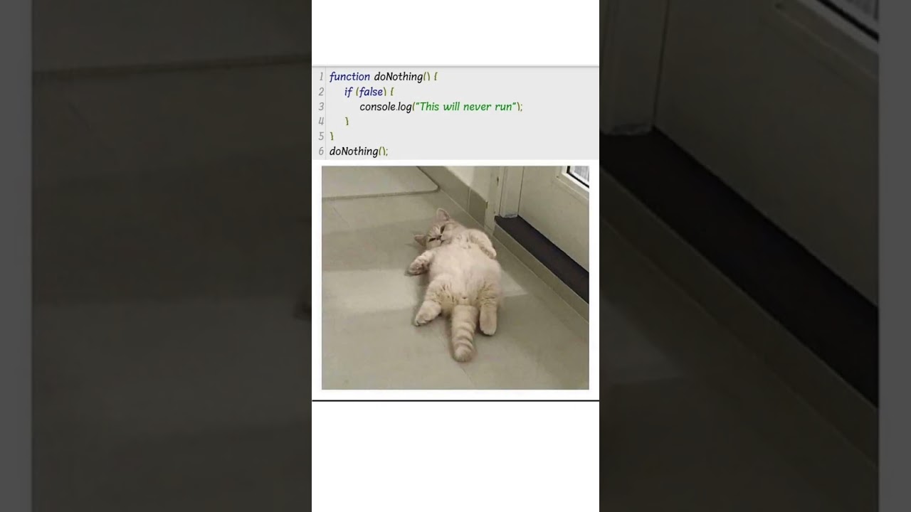 Useless Program Part 2