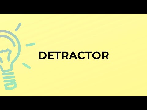 What is the meaning of the word DETRACTOR?