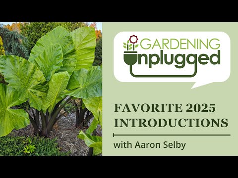 Gardening Unplugged - Plant Delights Introductions with Aaron Selby