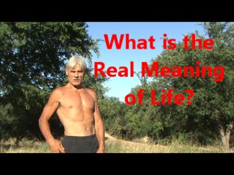 What is the Real Meaning of Life?