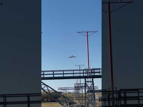 DAL Plane Spotting Cessna 560XL Citation Excel